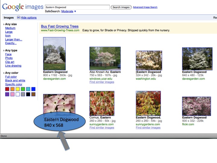 Easy Garden Planning with Google Images - Fine Gardening