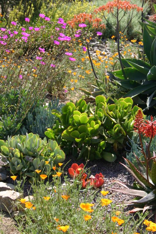 Fire-Wise Landscaping: How Safe Is Your Home? - Fine Gardening