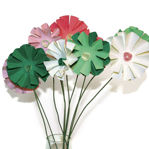 Perfect Paper Daisies - Fine Gardening