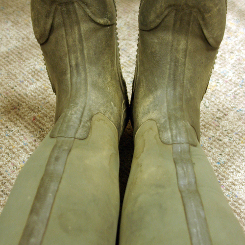 I'm in love with my mud boots - Fine Gardening