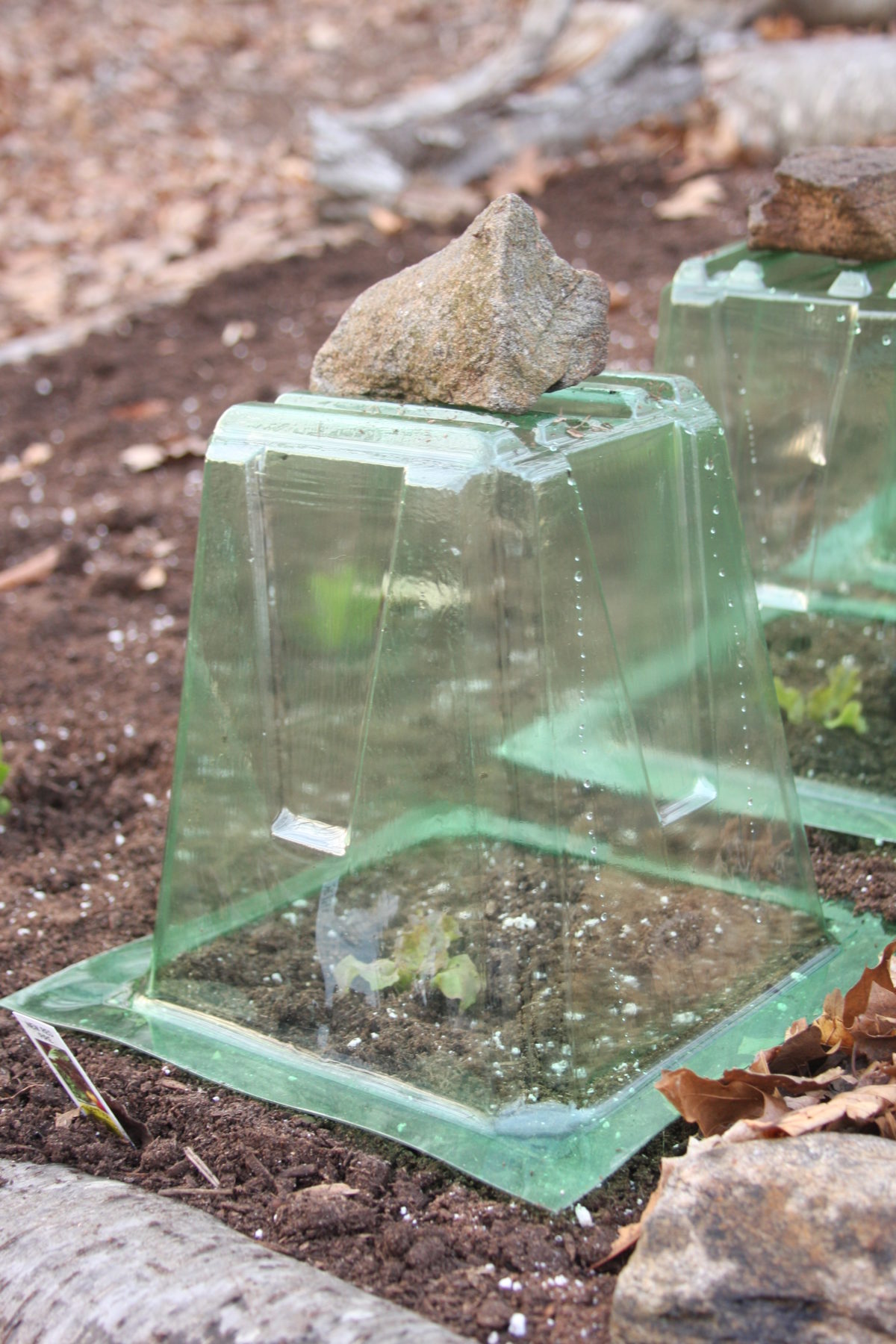 Get a Jump On the Season With Gro-Caps - Fine Gardening