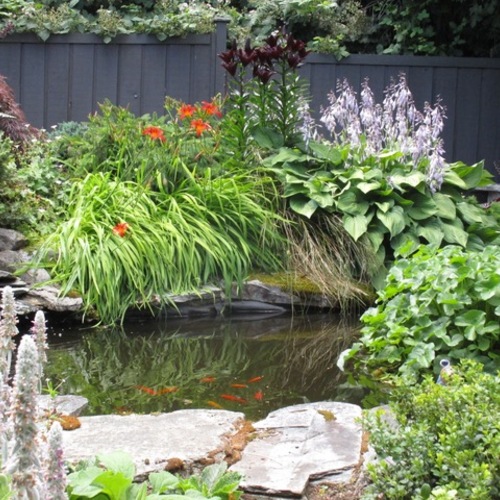 Year-Round Color - Fine Gardening