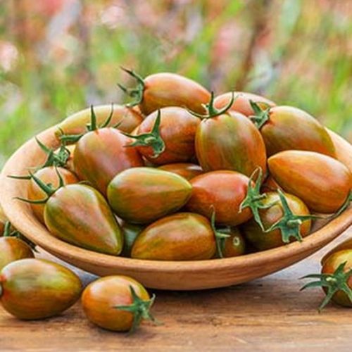 This New Tomato Variety is Pretty and Tasty - Fine Gardening