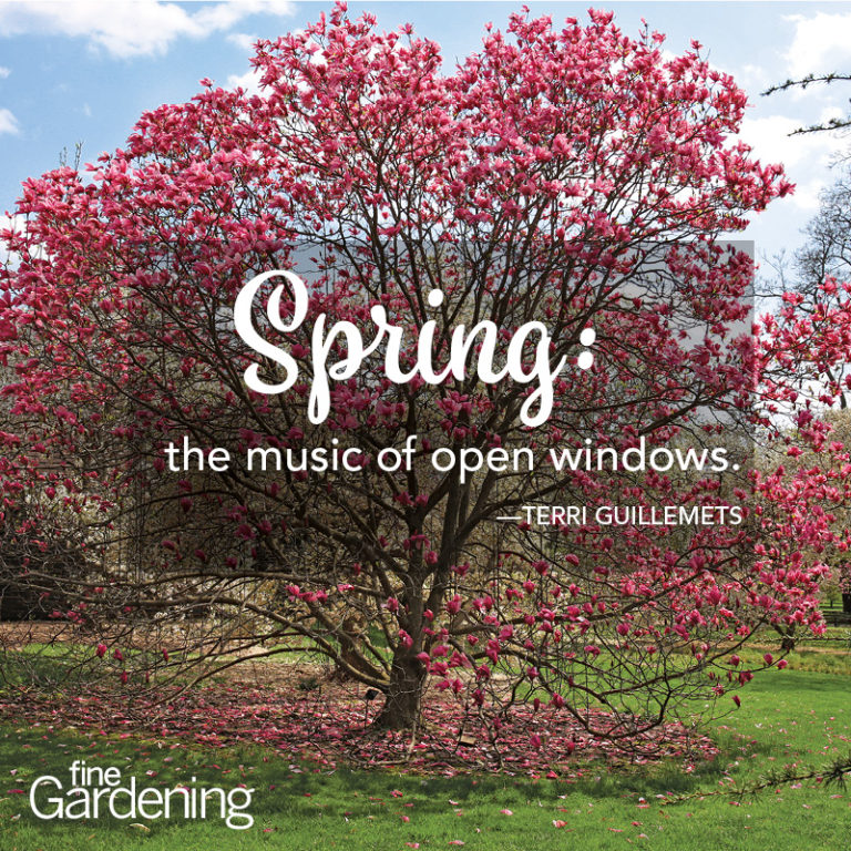 Ten of the Best Spring Quotes - Fine Gardening