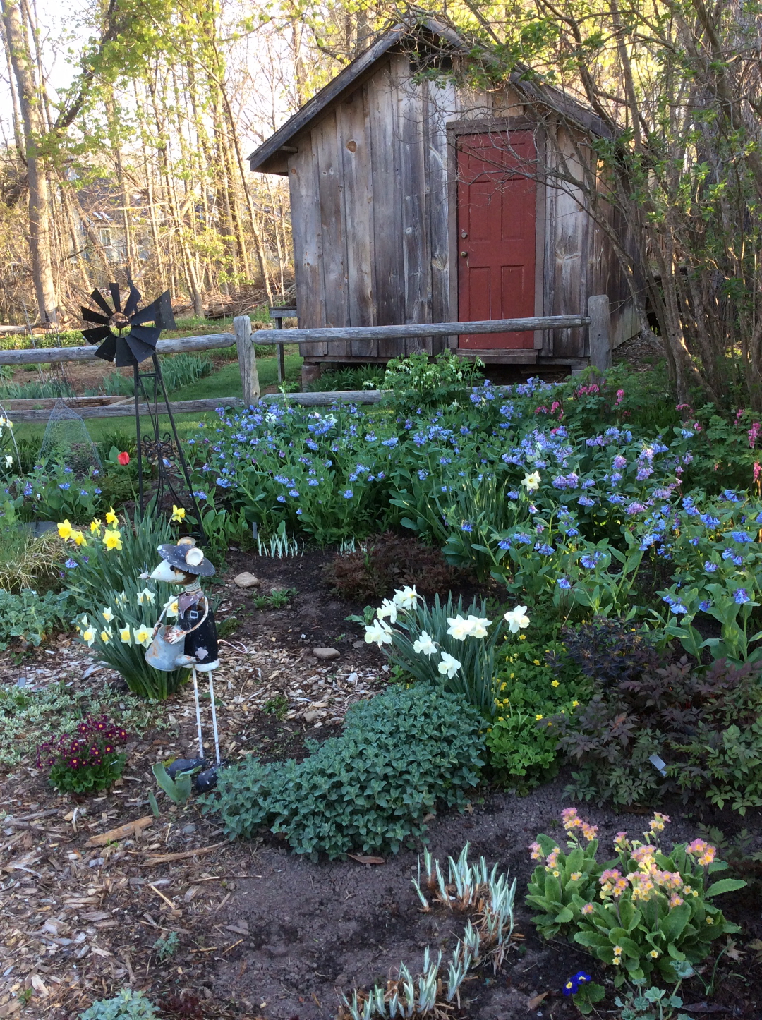 Anticipating Spring - Fine Gardening