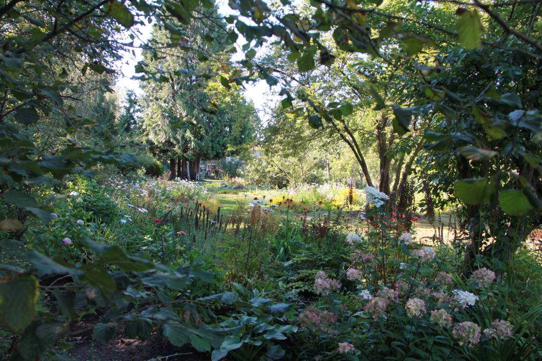 How to Create A Dream Garden