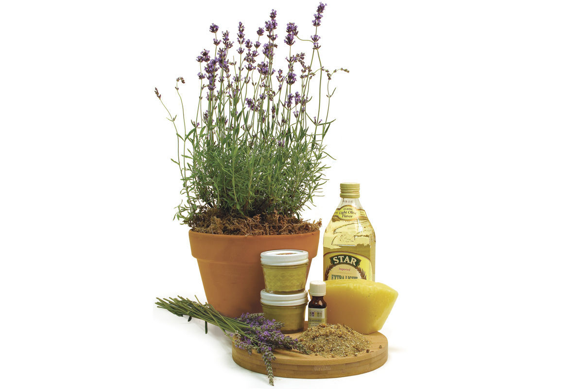 Heal Your Hands With Herbal Balms - Fine Gardening