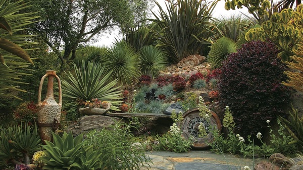 Be Bold With Fine-Textured Plants