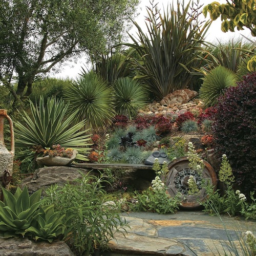 Garden Design Tips: Using Texture Extremes