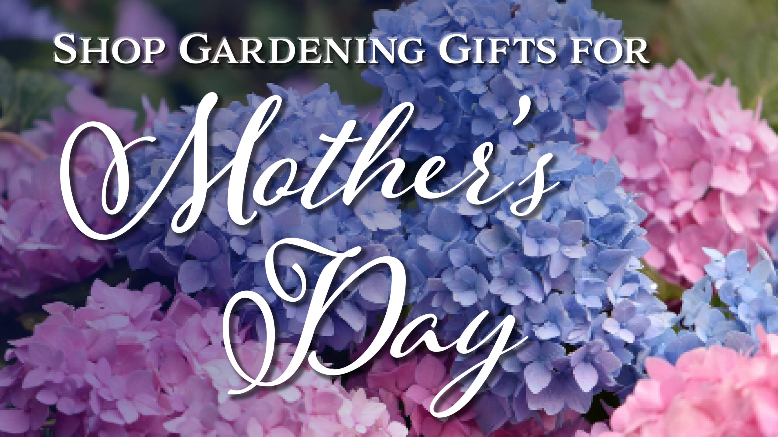 Mother's Day Gifts for Gardeners: Container Garden - FineGardening