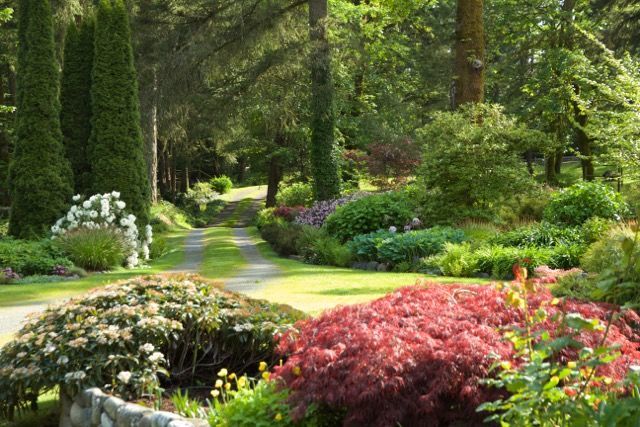 Garden Design: Creative Combinations in Canada