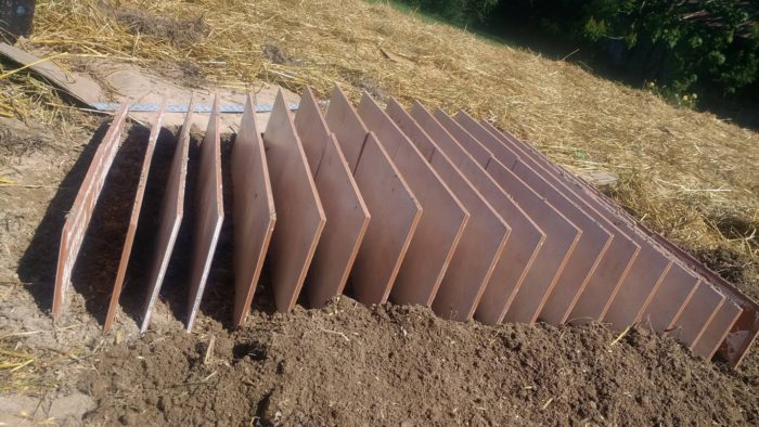 Build a Crevice Garden