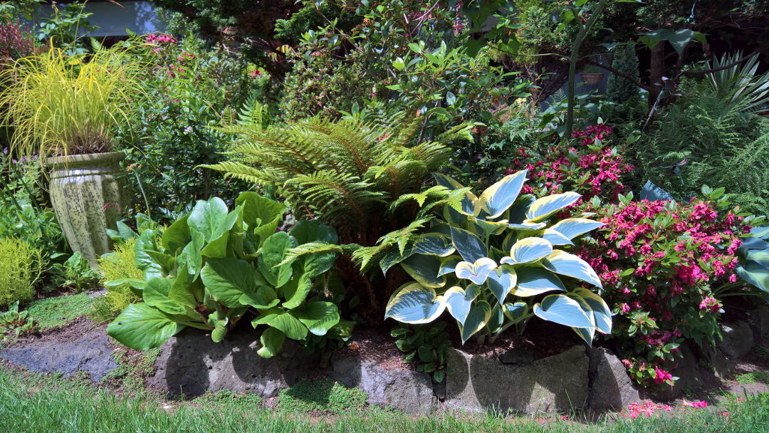 Spring in the Pacific Northwest - FineGardening