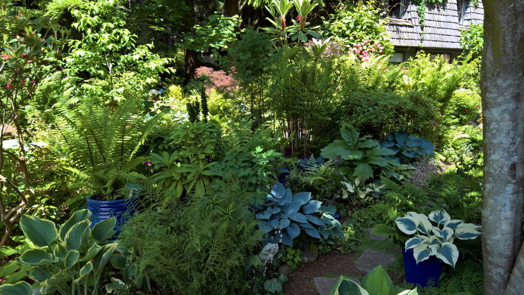 Spring in the Pacific Northwest - FineGardening