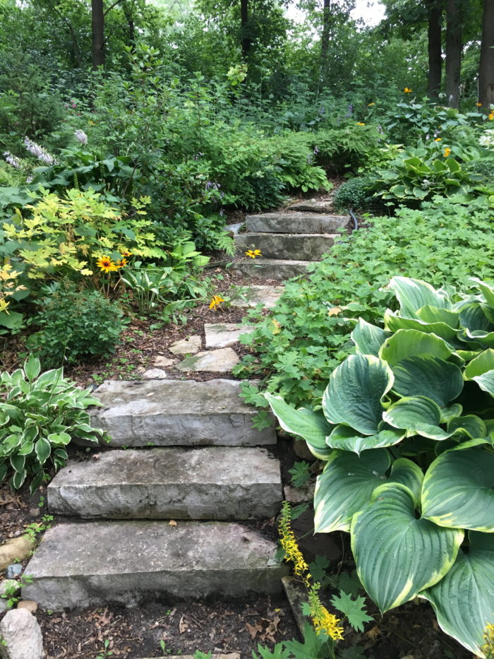 Eliminating Invasive Weeds to Make a Garden - Fine Gardening