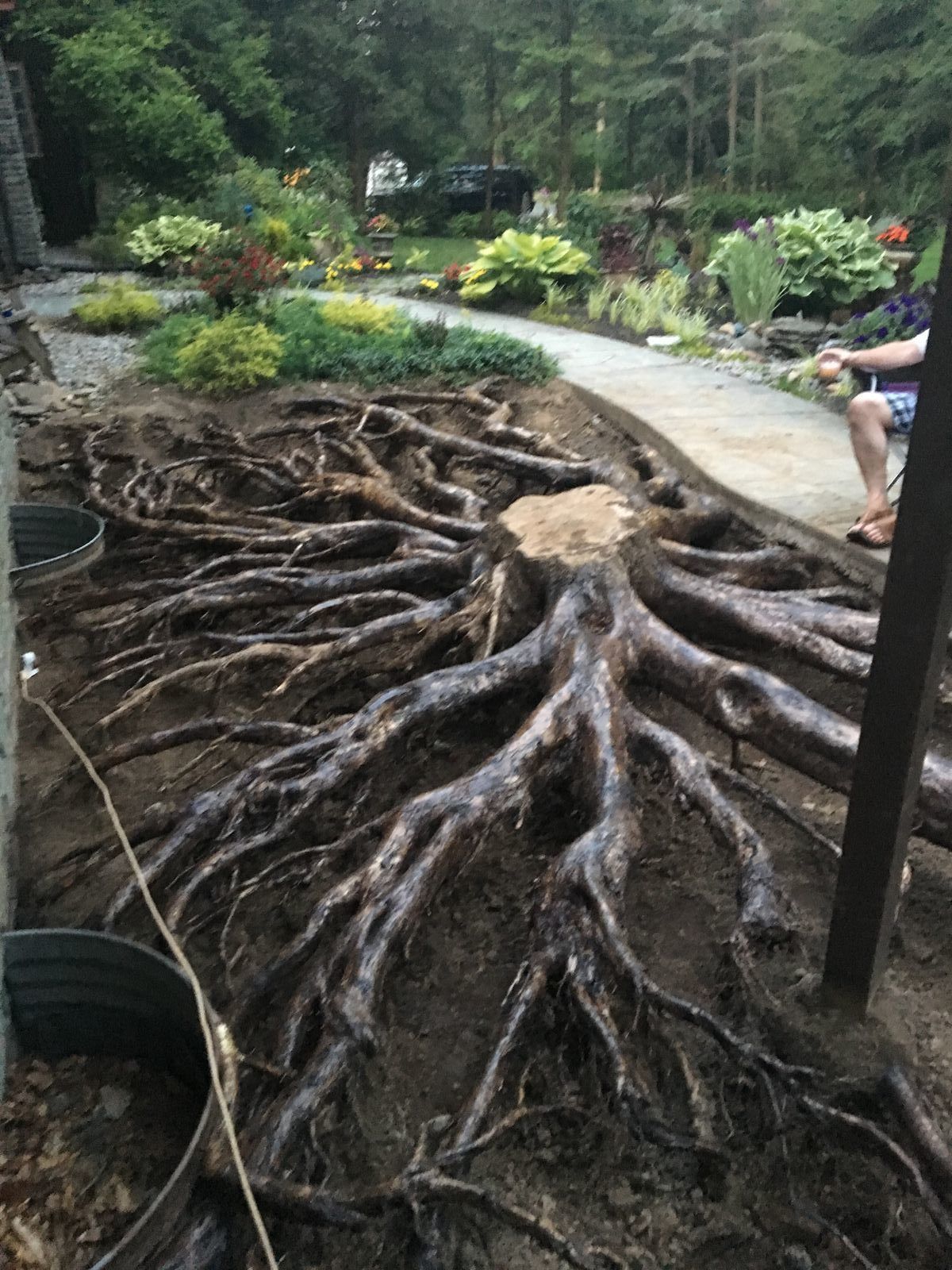 Turning a Stump Into a Garden - Fine Gardening