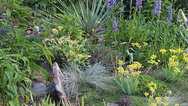 A Water-Wise Garden That Wows - Fine Gardening