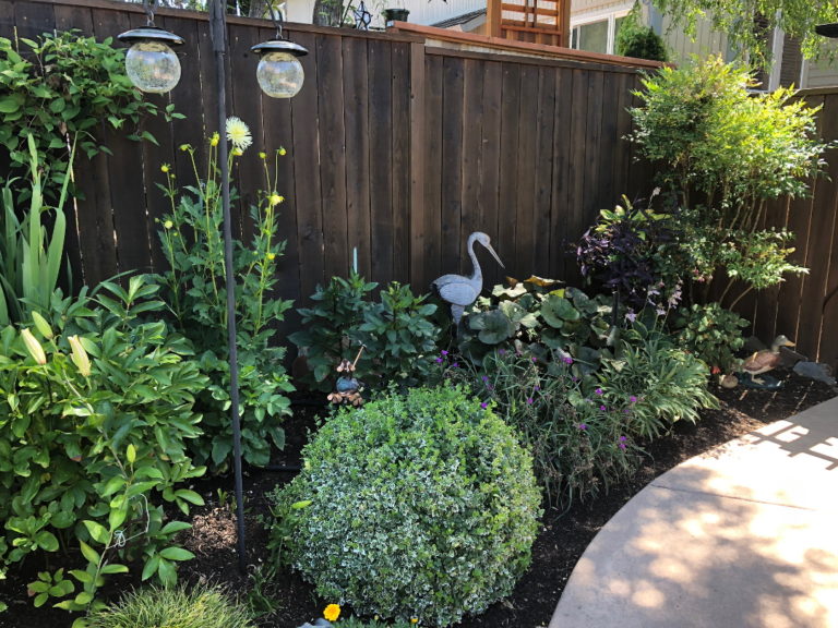 Sharing Plants for a Beautiful Garden - Fine Gardening