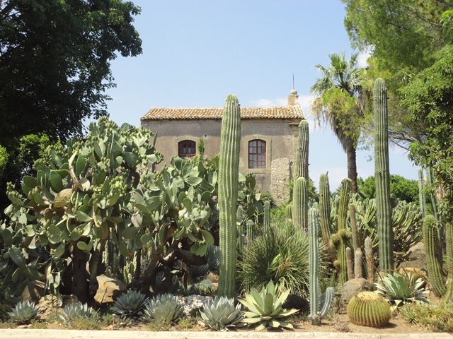 Cactus in Italy - Fine Gardening