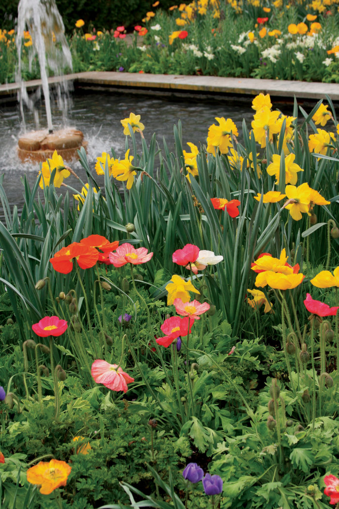 12 Spring Bulb Designs to Plant Now