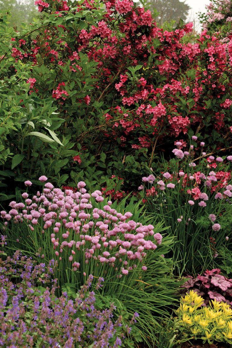 12 Spring Bulb Designs to Plant Now