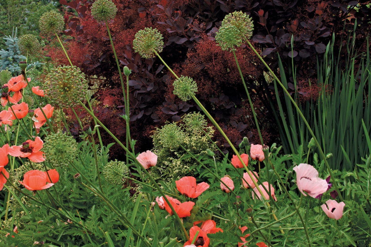 12 Spring Bulb Designs to Plant Now