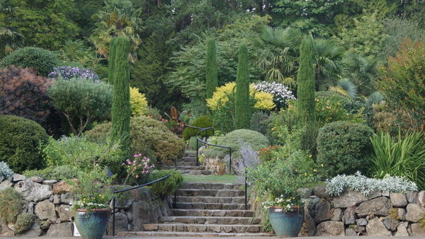 Southern Moon® Yedda Hawthorn - FineGardening