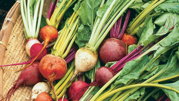 Pretty Pickled Beets - Fine Gardening