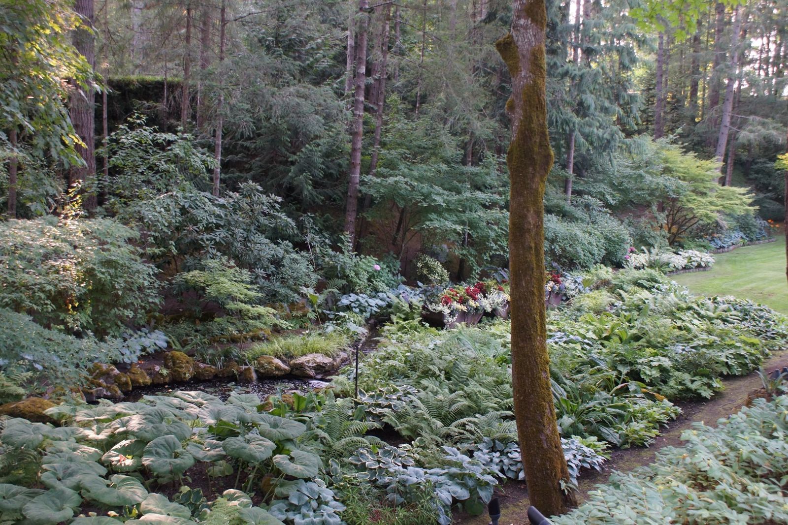 Inspiration for Shade Gardens - Fine Gardening