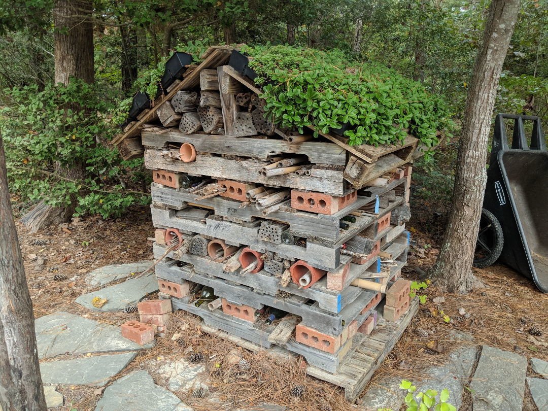 Creating Homes for Pollinators - Fine Gardening