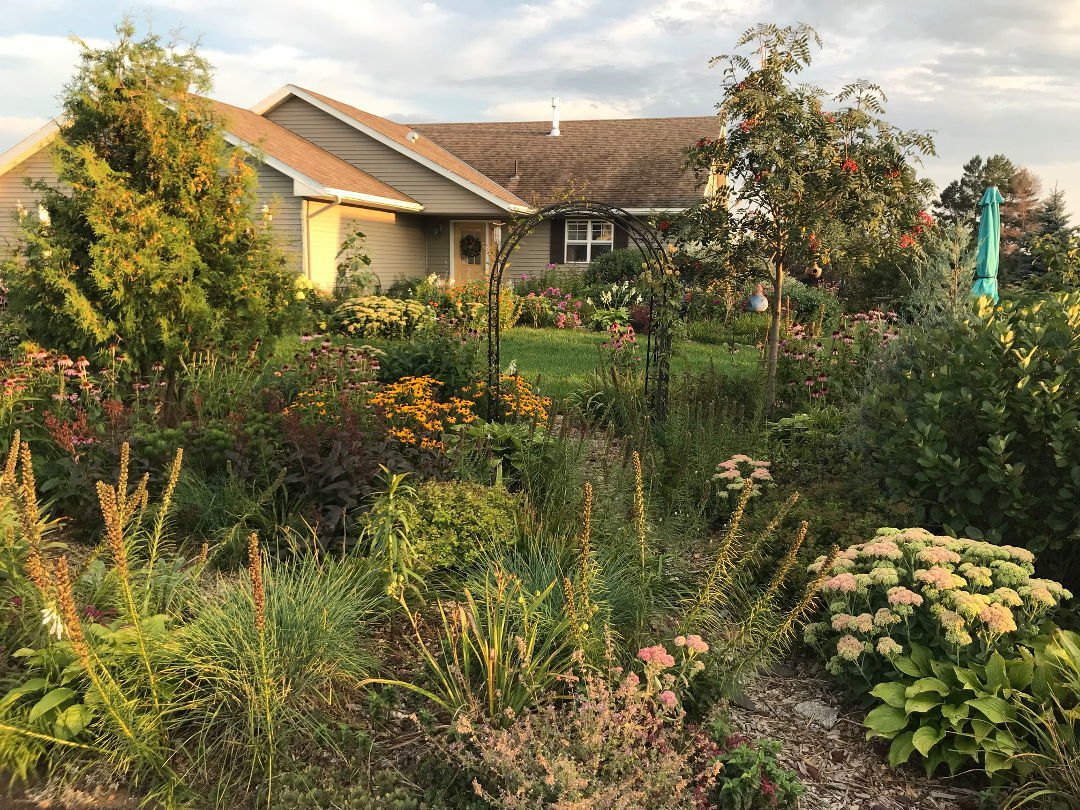 Turn a Barren Lot Into a Garden Bursting With Life - Fine Gardening