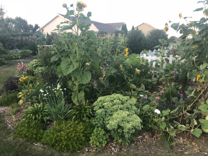 Turn a Barren Lot Into a Garden Bursting With Life - Fine Gardening