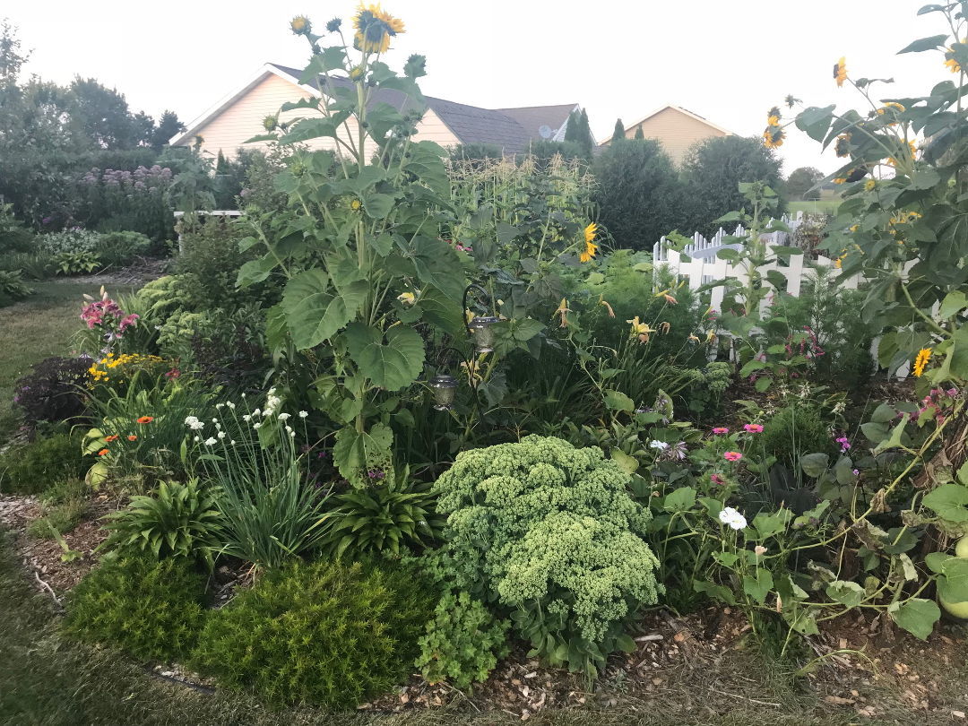 Turn a Barren Lot Into a Garden Bursting With Life - Fine Gardening