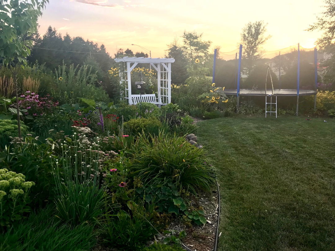 Turn a Barren Lot Into a Garden Bursting With Life - Fine Gardening