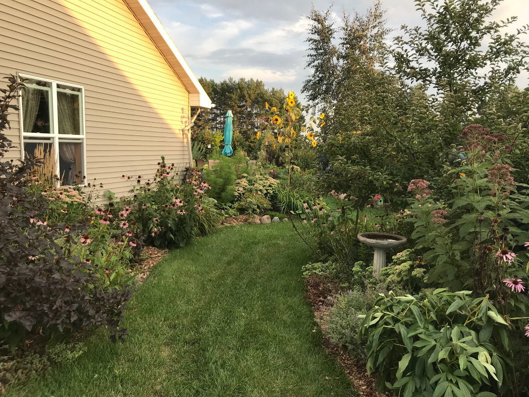 Turn a Barren Lot Into a Garden Bursting With Life - Fine Gardening