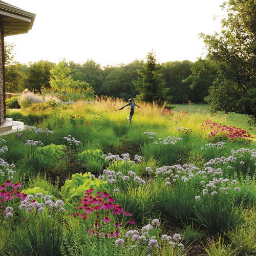 Matrix Planting - FineGardening