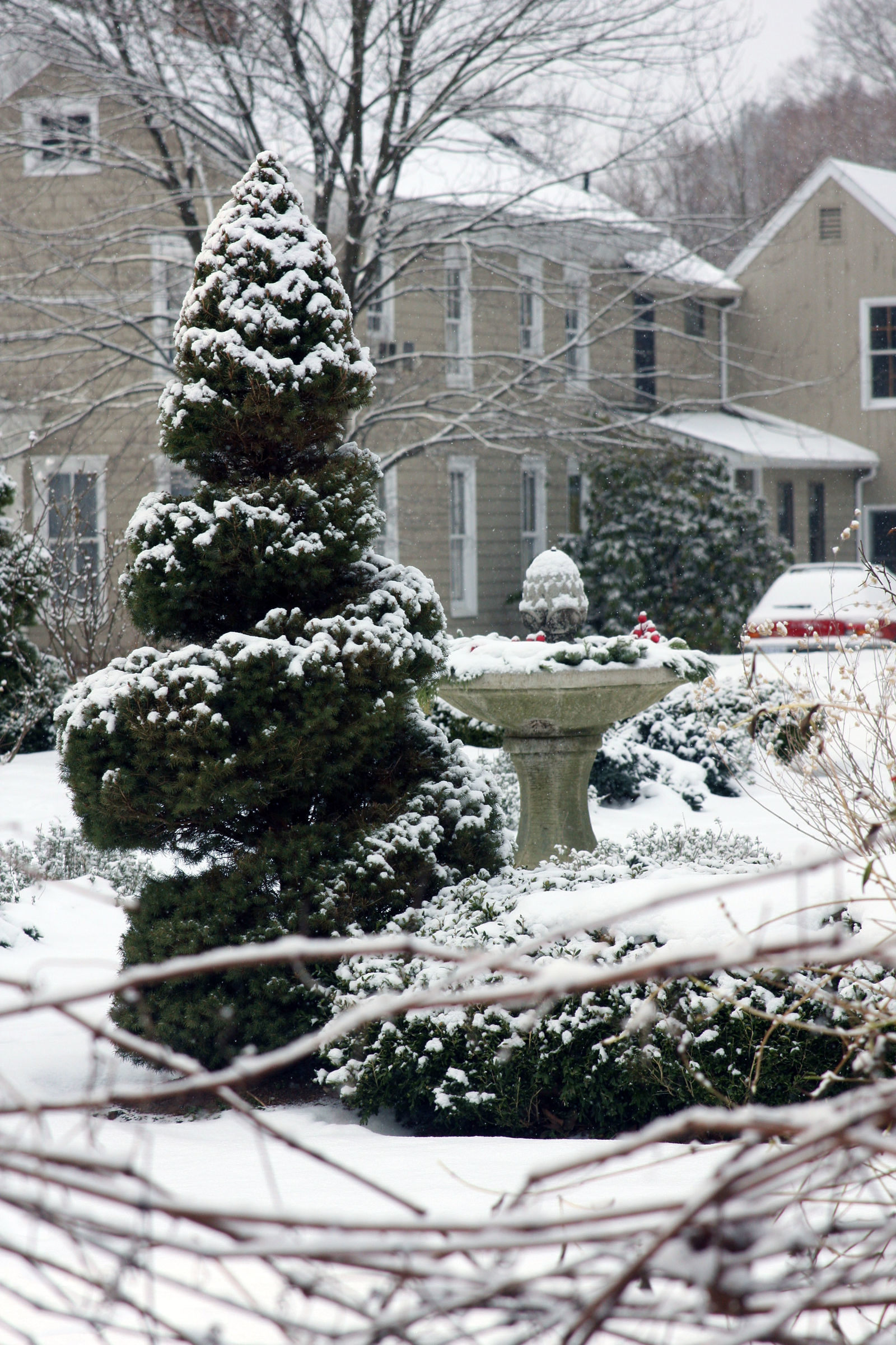12 Ways to Create Winter Interest - Fine Gardening