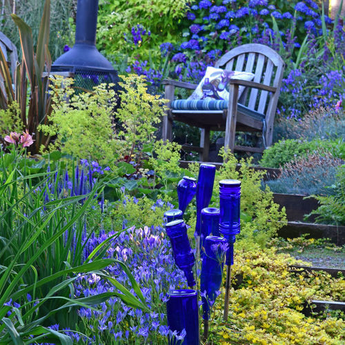 A Look Back at the Garden - Fine Gardening