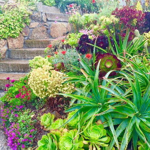 Gardens on Steps and Stairs, Part 2 - Fine Gardening