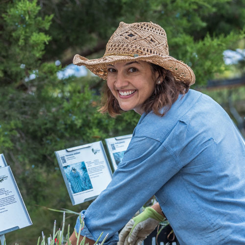 The Advantages of Pecan Shell Mulch - Fine Gardening