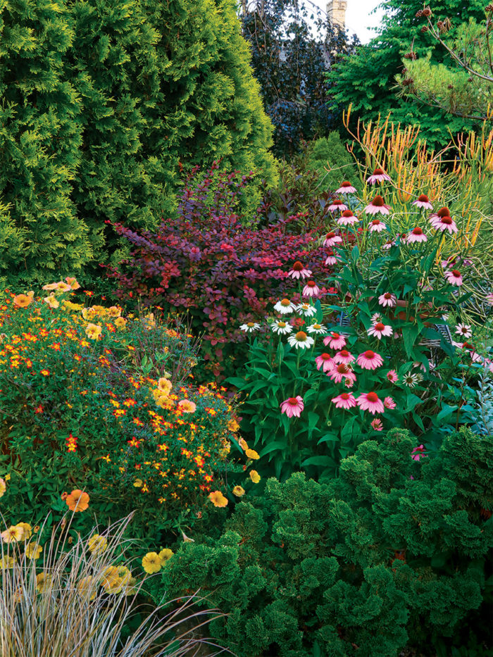 Preview: Good Garden Design is Worth the Wait