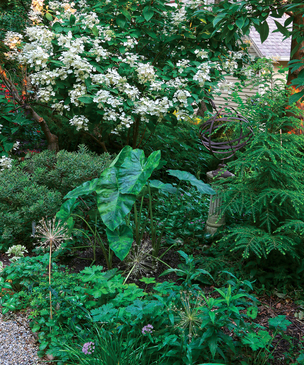 Preview: Good Garden Design is Worth the Wait