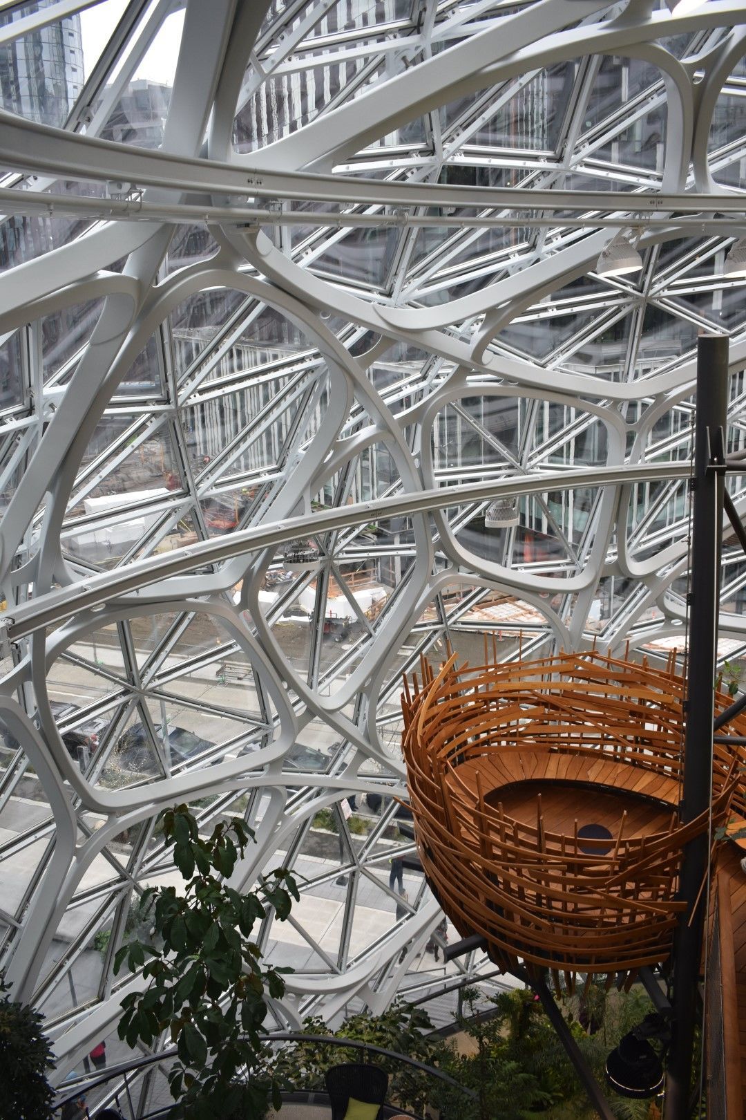 A Visit to the Amazon Spheres - Fine Gardening