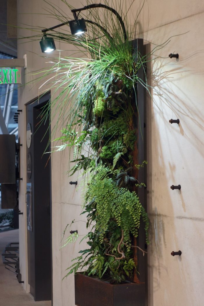 A Visit to the Amazon Spheres - Fine Gardening