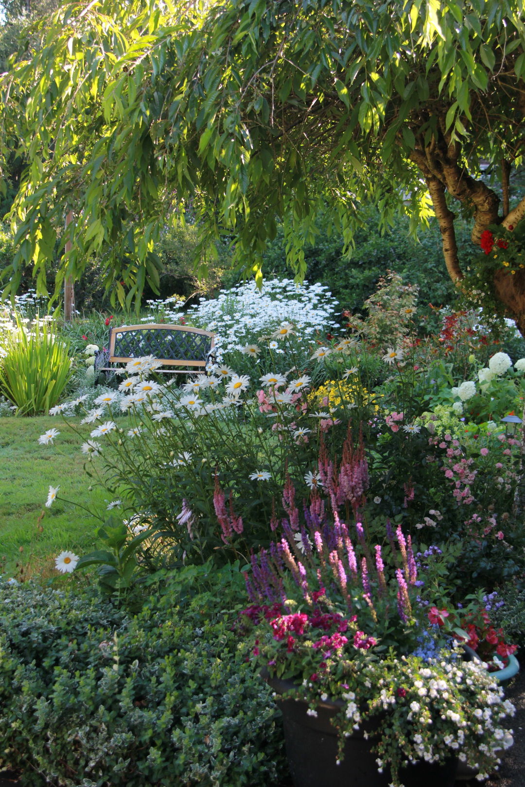 A Garden Evolves Year After Year - Fine Gardening