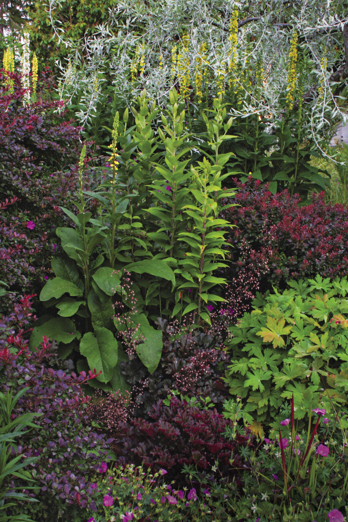 Designing a Garden in Layers - Fine Gardening