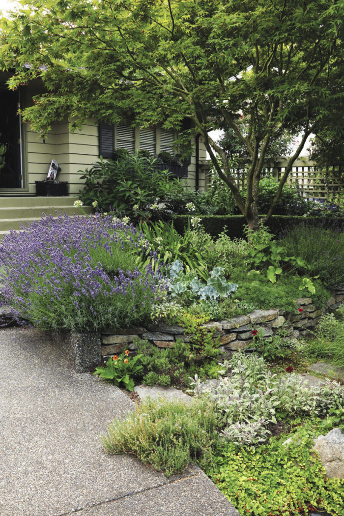 Four Design Ideas for a Small Space - FineGardening