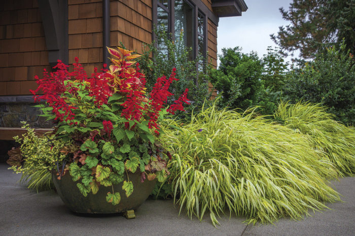 How to Use Red in the Garden - Fine Gardening