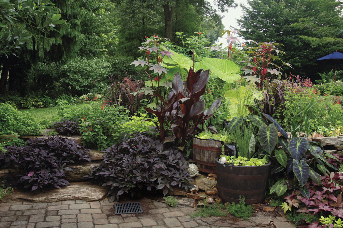 Designing a Lush Backyard Retreat - Fine Gardening