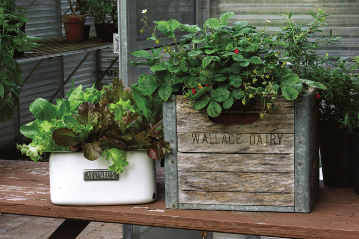 3 Salvaged and Repurposed Container-Garden Planter Ideas - Fine Gardening
